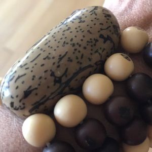 Rainforest Native | Jewelry | Five Strand Aa Seed Bracelet | Poshmark